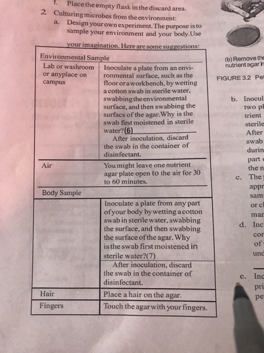 Solved 2 f. Place the empty flask in the discard area. | Chegg.com