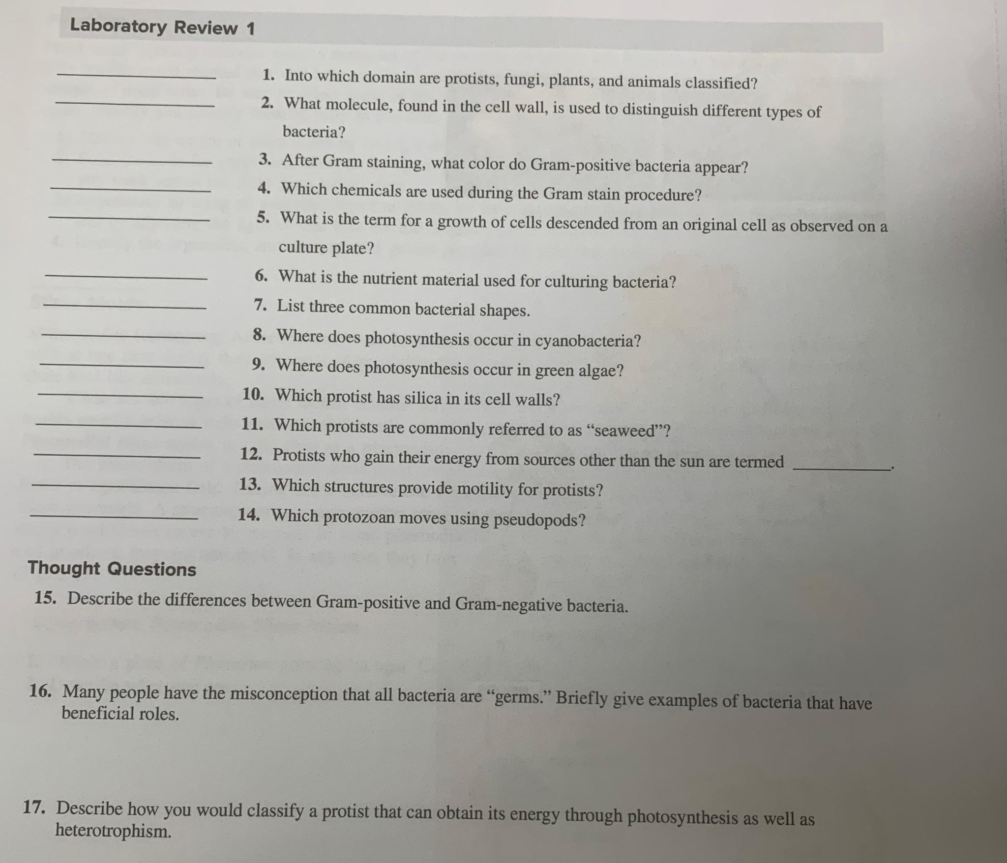 Solved Laboratory Review 1Into which domain are protists, | Chegg.com
