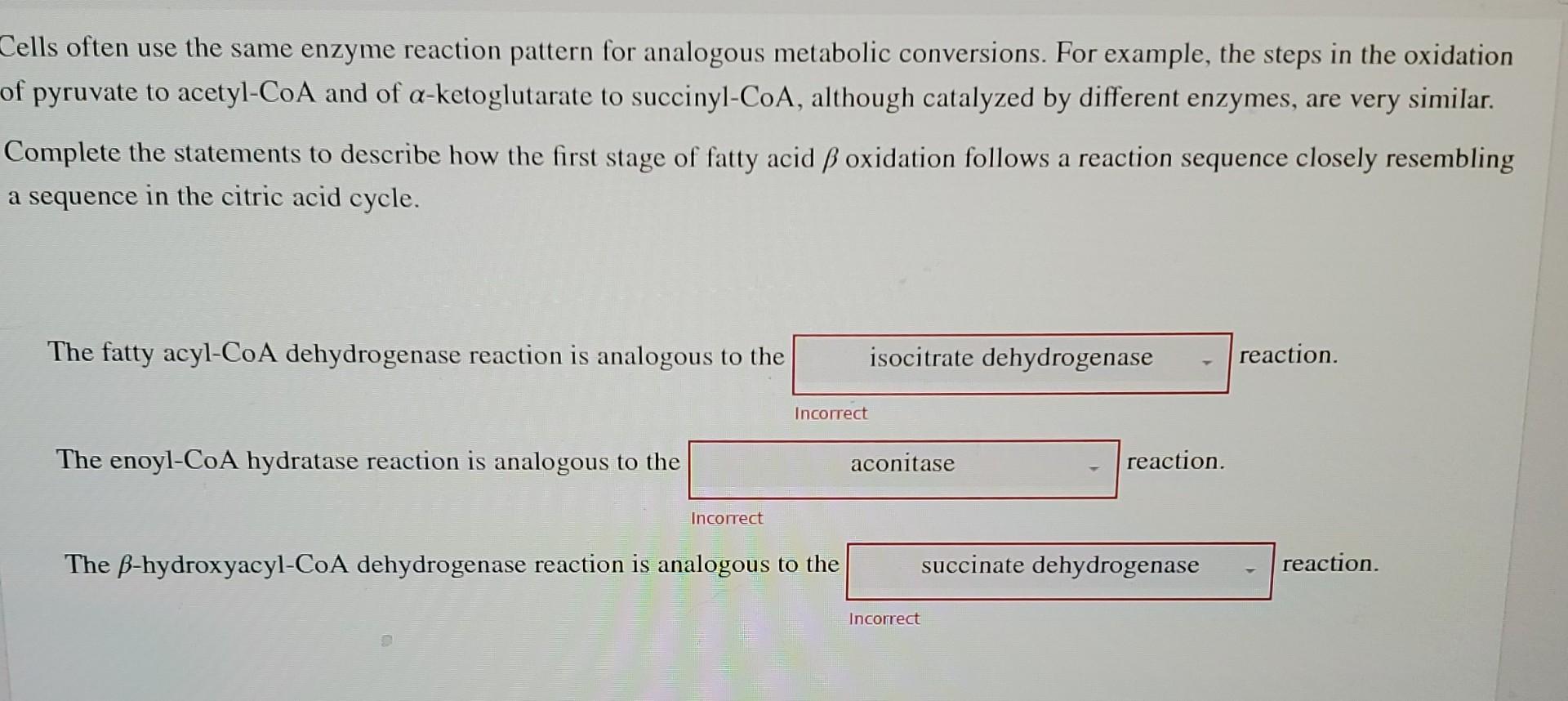 Solved Cells often use the same enzyme reaction pattern for | Chegg.com