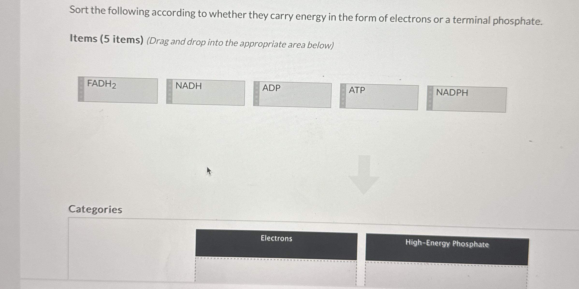 Solved Sort the following according to whether they carry | Chegg.com