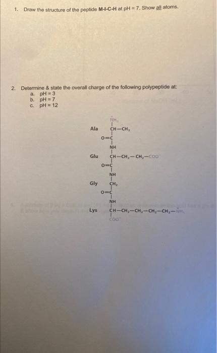Solved 1. Draw the structure of the peptide M−1−C−H at pH=7. | Chegg.com