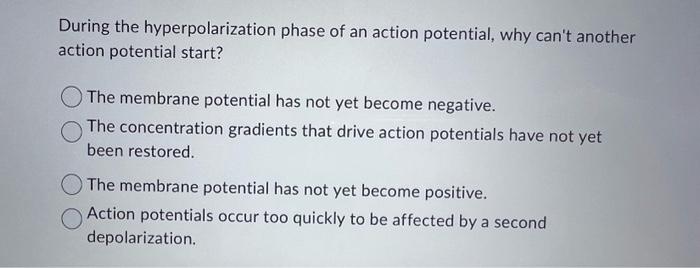 Solved During the hyperpolarization phase of an action | Chegg.com