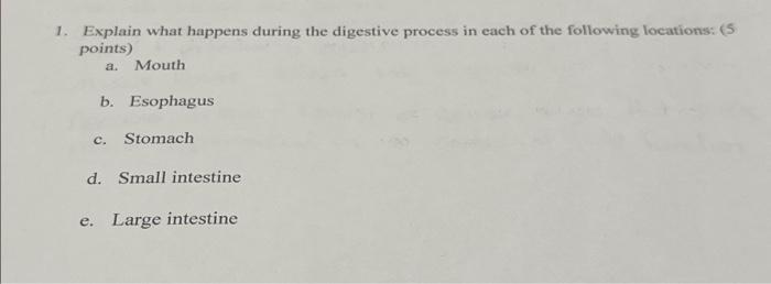 Solved 1. Explain what happens during the digestive process | Chegg.com
