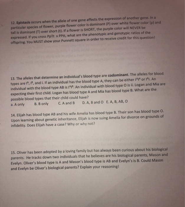 Solved 1. In humans, a widow's peak hairline (H) has | Chegg.com
