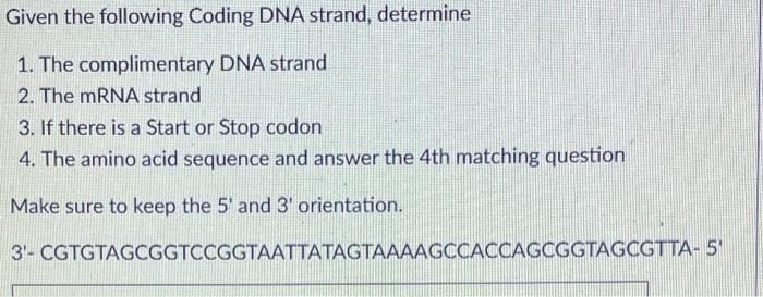 Solved Given the following Coding DNA strand, determine 1. | Chegg.com