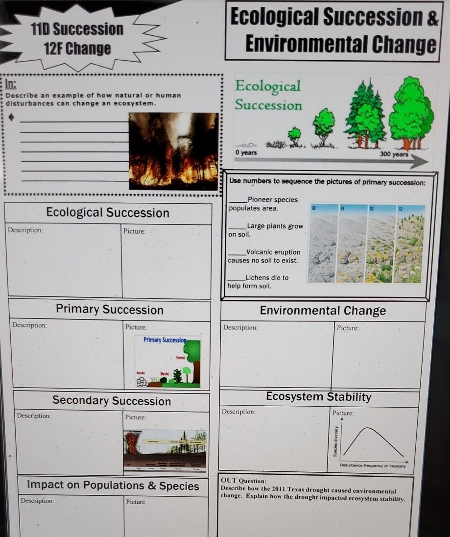 Solved Population Growth Populations in Ecosystems Carrying | Chegg.com