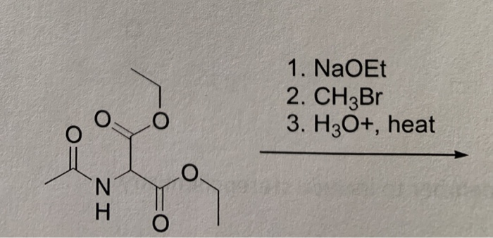Solved 1. NaOEt 2. CH3Br 3. H30+, heat O ZI | Chegg.com