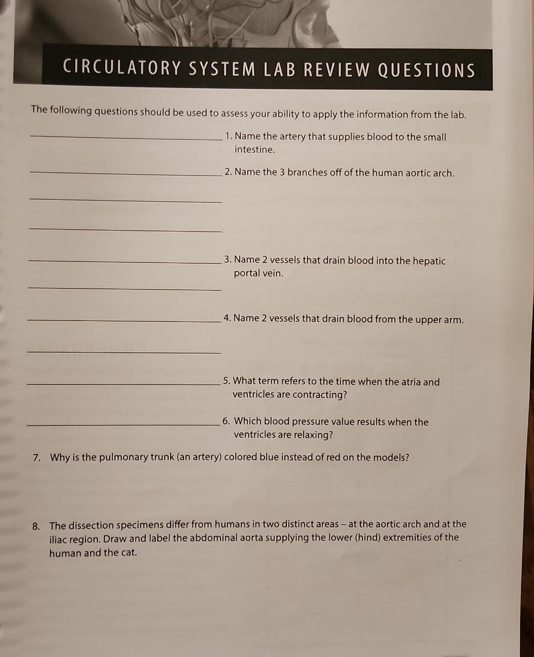 Solved CIRCULATORY SYSTEM LAB REVIEW QUESTIONS The following | Chegg.com