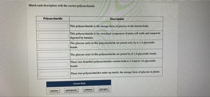 Solved Match each description with the correct | Chegg.com
