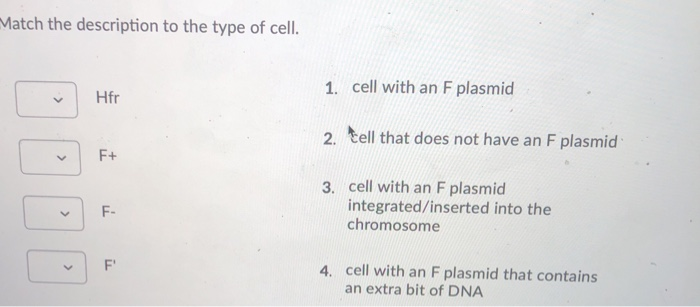 Solved Use the codon table to translate the following mRNA | Chegg.com