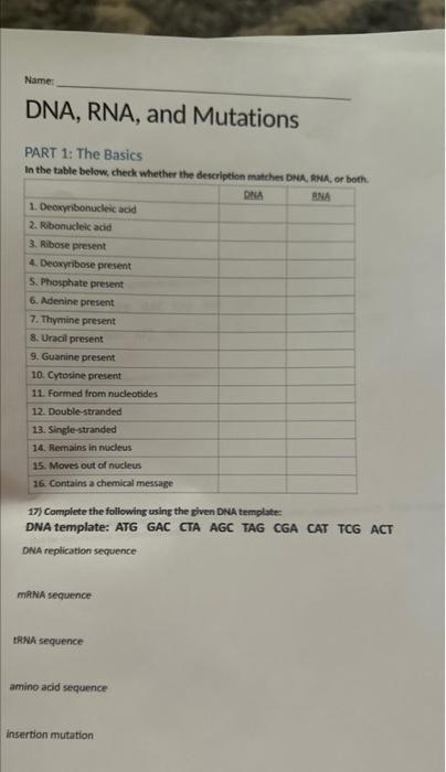 Solved DNA, RNA, and Mutations PART 1: The Basics In the | Chegg.com