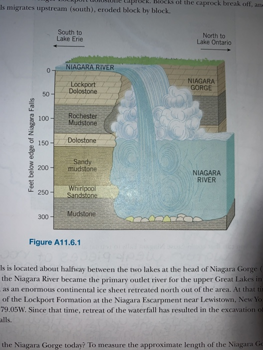 Solved REFLECT & DISCUSS: Look at the cross-section of | Chegg.com