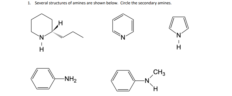 Solved Several structures of amines are shown below. Circle | Chegg.com