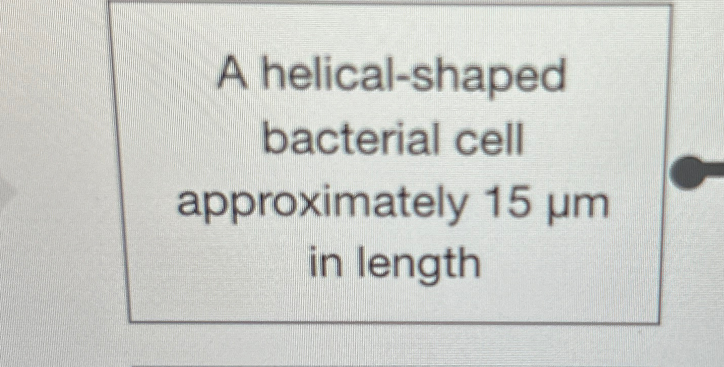 Solved A helical-shaped bacterial cell approximately 15μm | Chegg.com