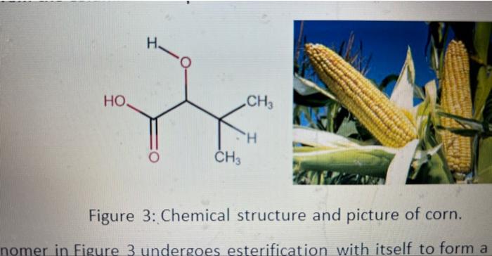 Solved The Monomer undergoes esterification with ITSELF to | Chegg.com