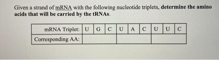 Solved The Genetic Code (mRNA) mRNA triplet, mRNA triplet, | Chegg.com