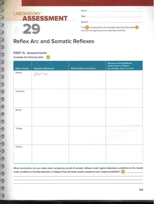 Solved Name LABORATORY ASSESSMENT 29 Reflex Arc and Somatic | Chegg.com
