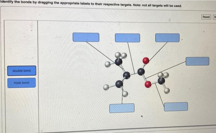 Solved Using the octet rule and bonding patterns from the | Chegg.com