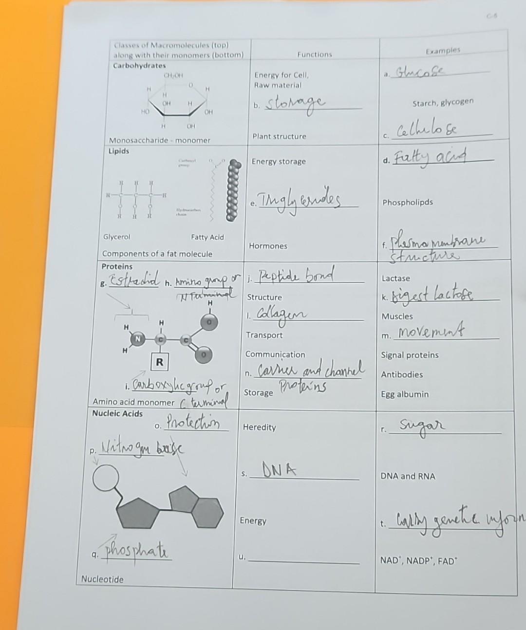 Solved \begin{tabular}{l|l|} \hline Classes of | Chegg.com