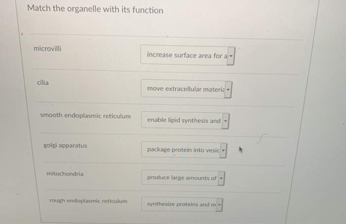 Solved Match the organelle with its function microvilli | Chegg.com