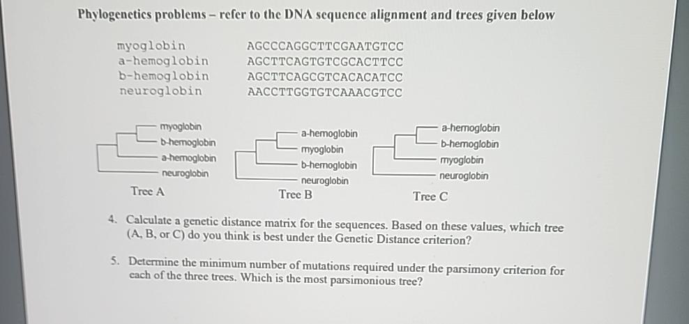 Solved Phylogenetics problems - ﻿refer to the DNA sequence | Chegg.com