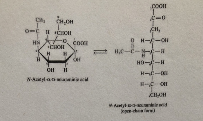 Solved I need help answering these parts of the question | Chegg.com