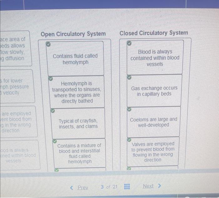 Solved Open Circulatory System Closed Circulatory System | Chegg.com