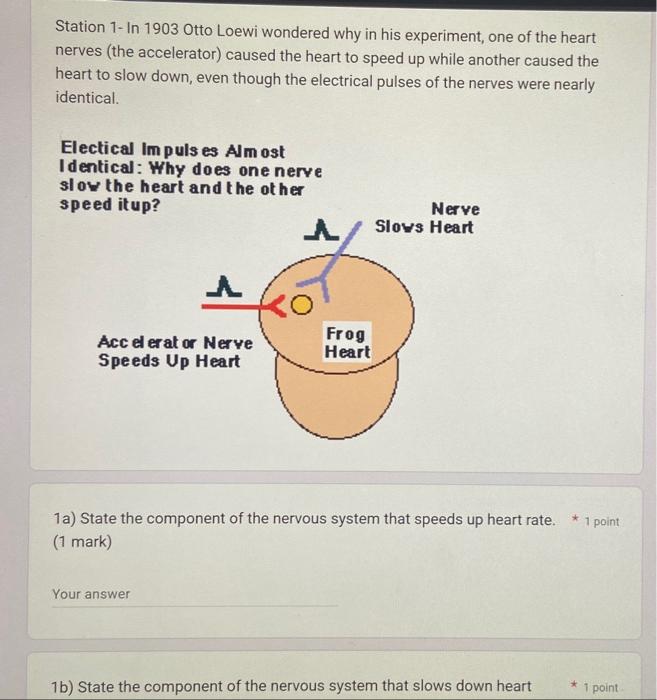 Solved Station 1- In 1903 Otto Loewi wondered why in his | Chegg.com