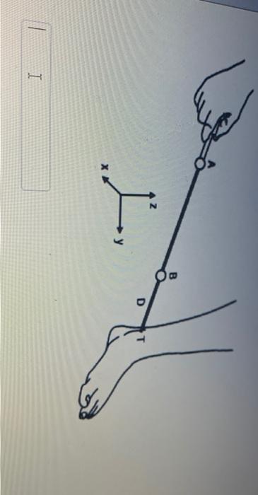 Solved Pointers are someting used in bionethaies labs to | Chegg.com