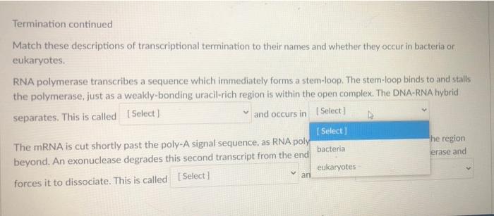 Solved Termination continued Match these descriptions of | Chegg.com