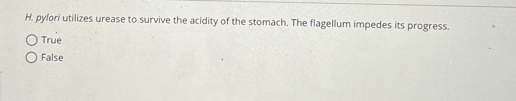 Solved H. ﻿pylori utilizes urease to survive the acidity of | Chegg.com