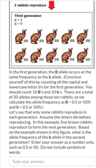 Solved Look at the following example of changes in allele | Chegg.com