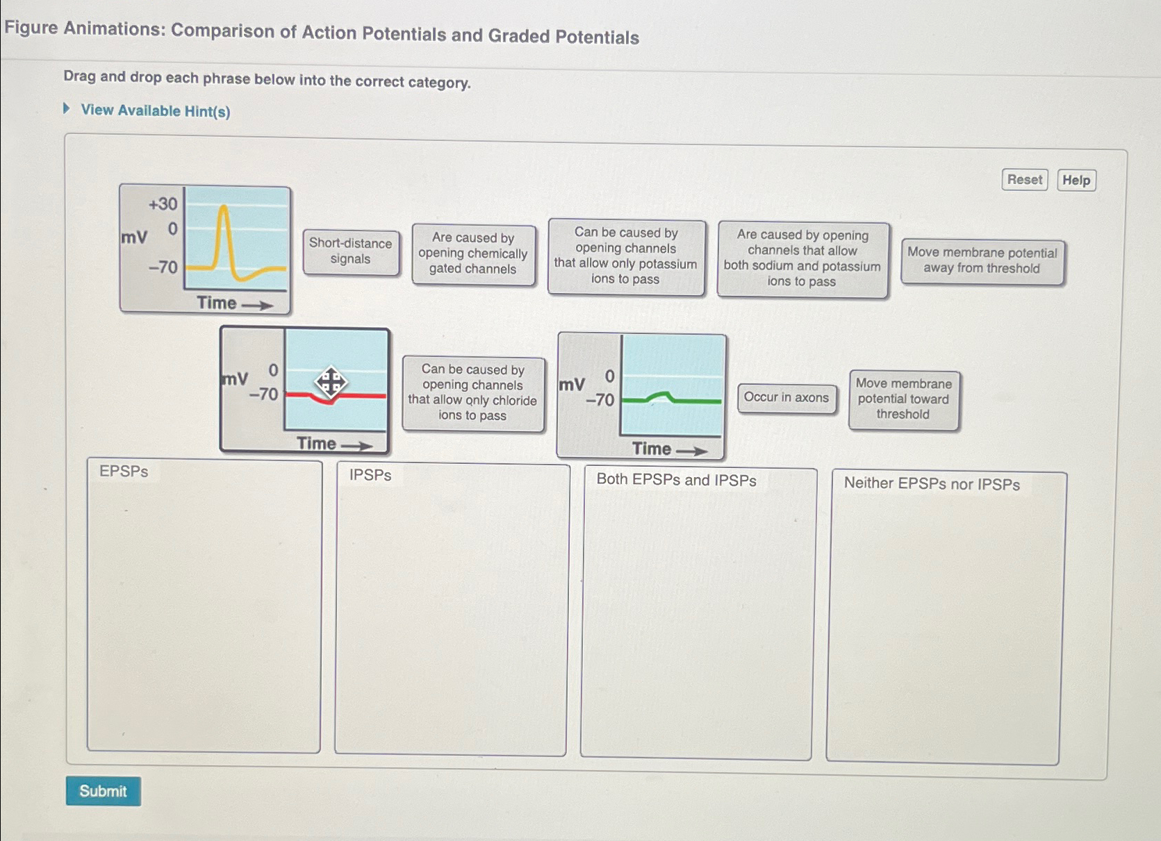 Solved Figure Animations: Comparison of Action Potentials | Chegg.com Solved Figure Animations: Comparison of Action Potentials | Chegg.com