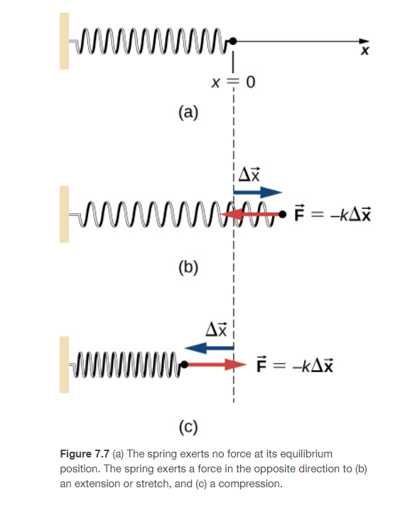 Solved Figure 7.7 (a) ﻿The spring exerts no force at its | Chegg.com