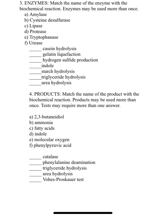 Solved 3. ENZYMES: Match the name of the enzyme with the | Chegg.com