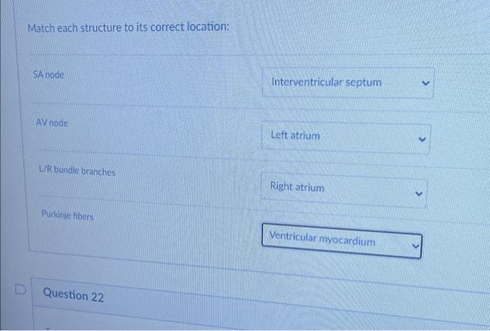 Solved Match each structure to its correct location: SAnode | Chegg.com