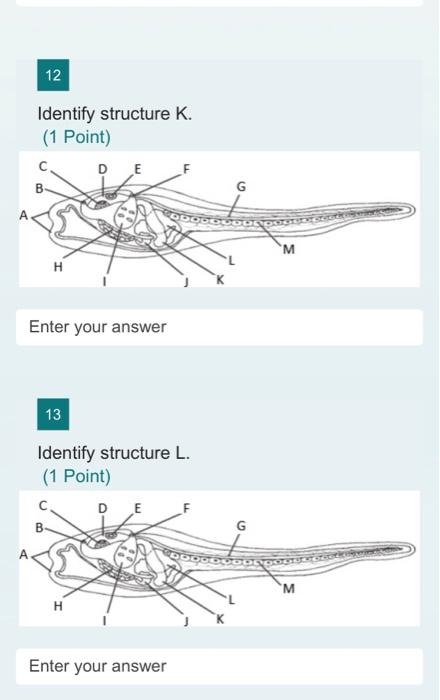 Solved Identify structure G. (1 Point)Identify structure K. | Chegg.com