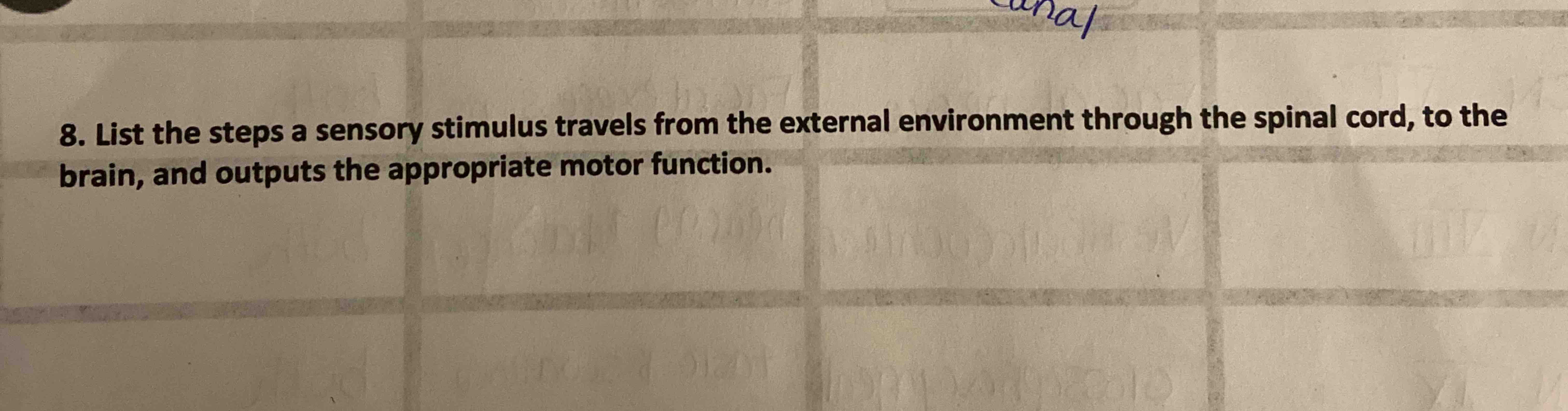 Solved List the steps a sensory stimulus travels from the | Chegg.com