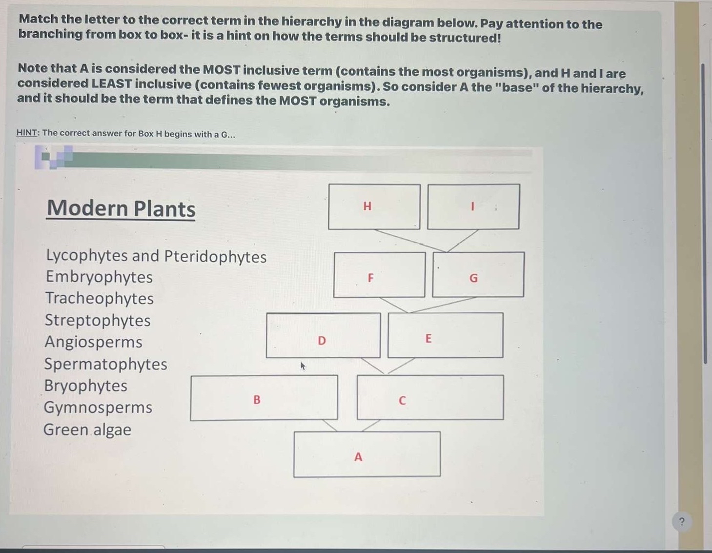 Solved Match the letter to the correct term in the hierarchy | Chegg.com