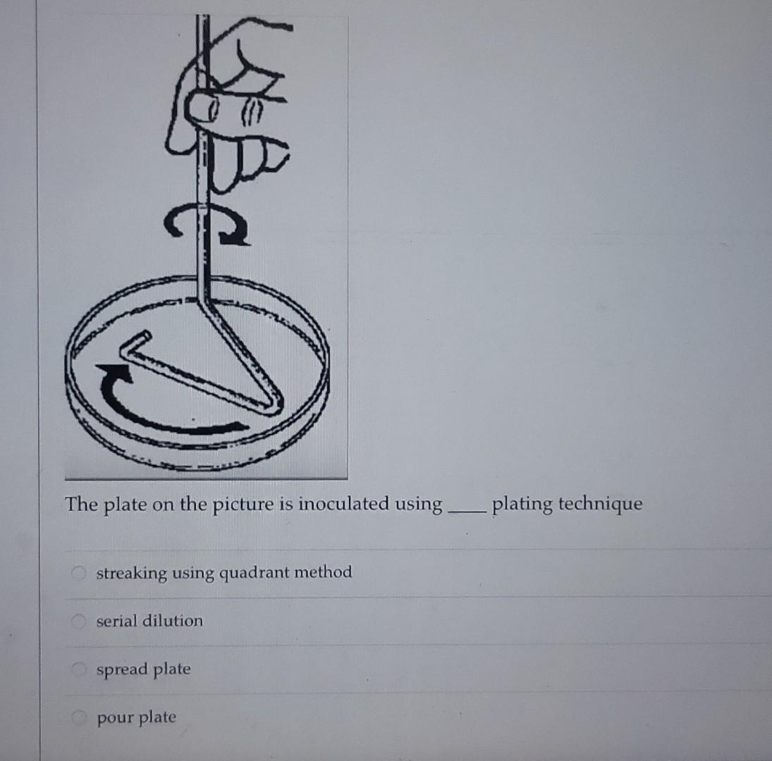 Solved The plate on the picture is inoculated using plating | Chegg.com
