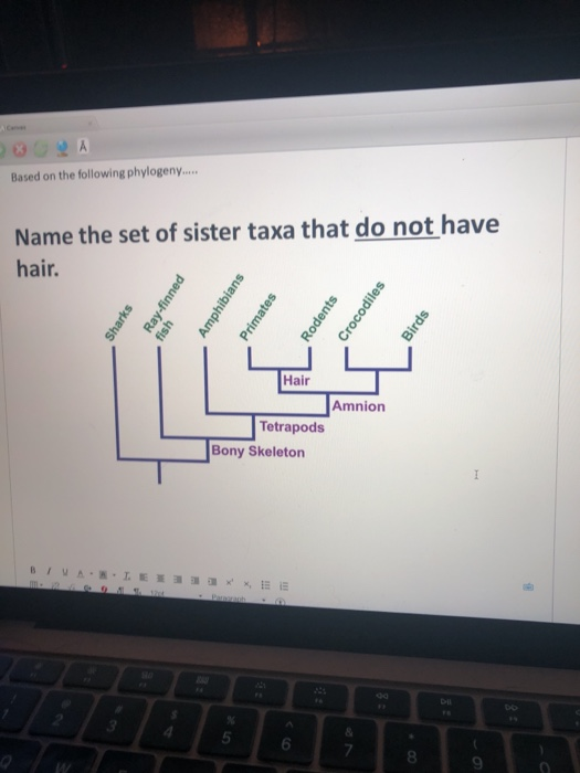 Solved Based on the following phylogeny.... Name the set of | Chegg.com