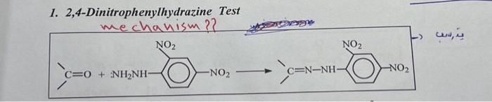 Solved 1. 2,4-Dinitrophenylhydrazine Test me chanism?? →ω | Chegg.com
