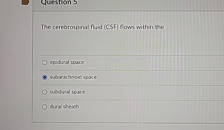 Solved Question 5The cerebrospinal fluid (CSF) ﻿flows within | Chegg.com