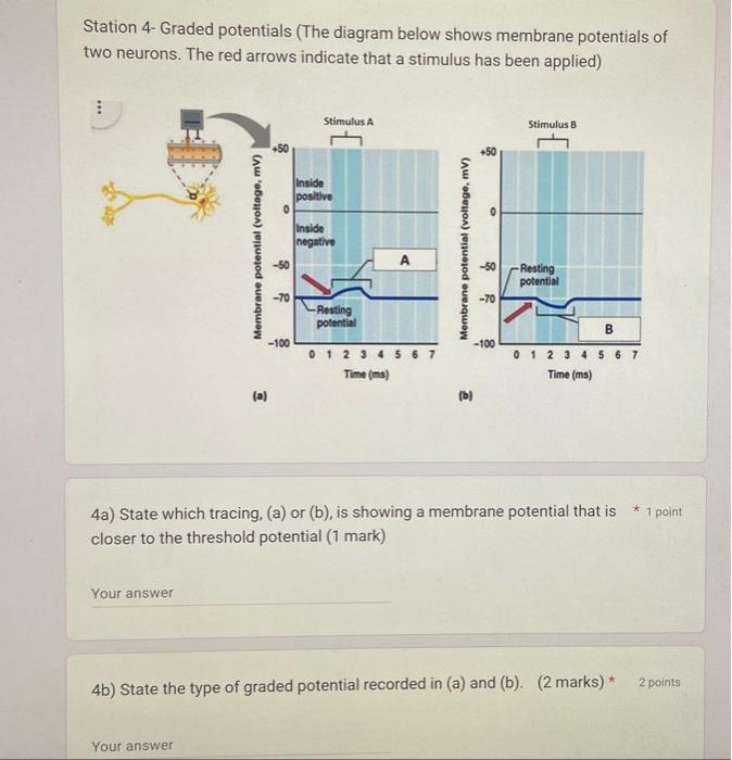 Solved Station 4- Graded potentials (The diagram below shows | Chegg.com