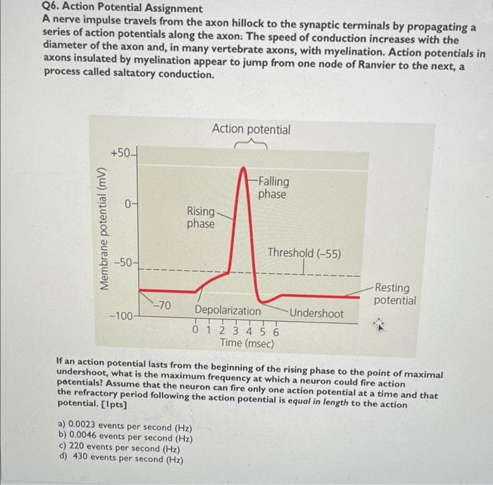 Solved Q6. Action Potential Assignment A nerve impulse | Chegg.com