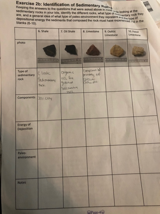 Solved Exercise 2b: Identification of Sedimentary Rocus | Chegg.com