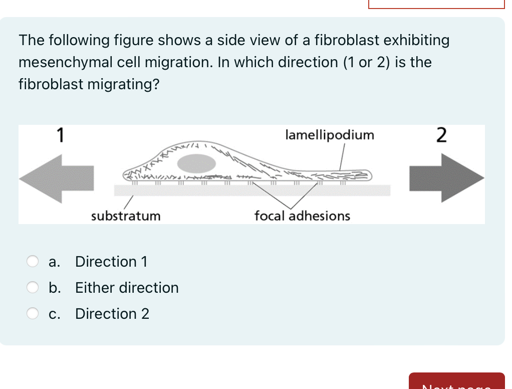 The following figure shows a side view of a | Chegg.com
