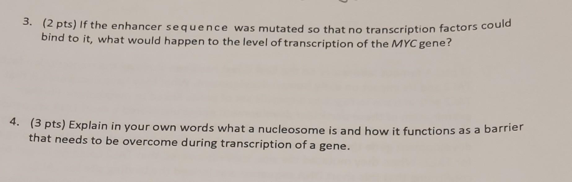 Solved 3. (2 pts) If the enhancer sequence was mutated so | Chegg.com
