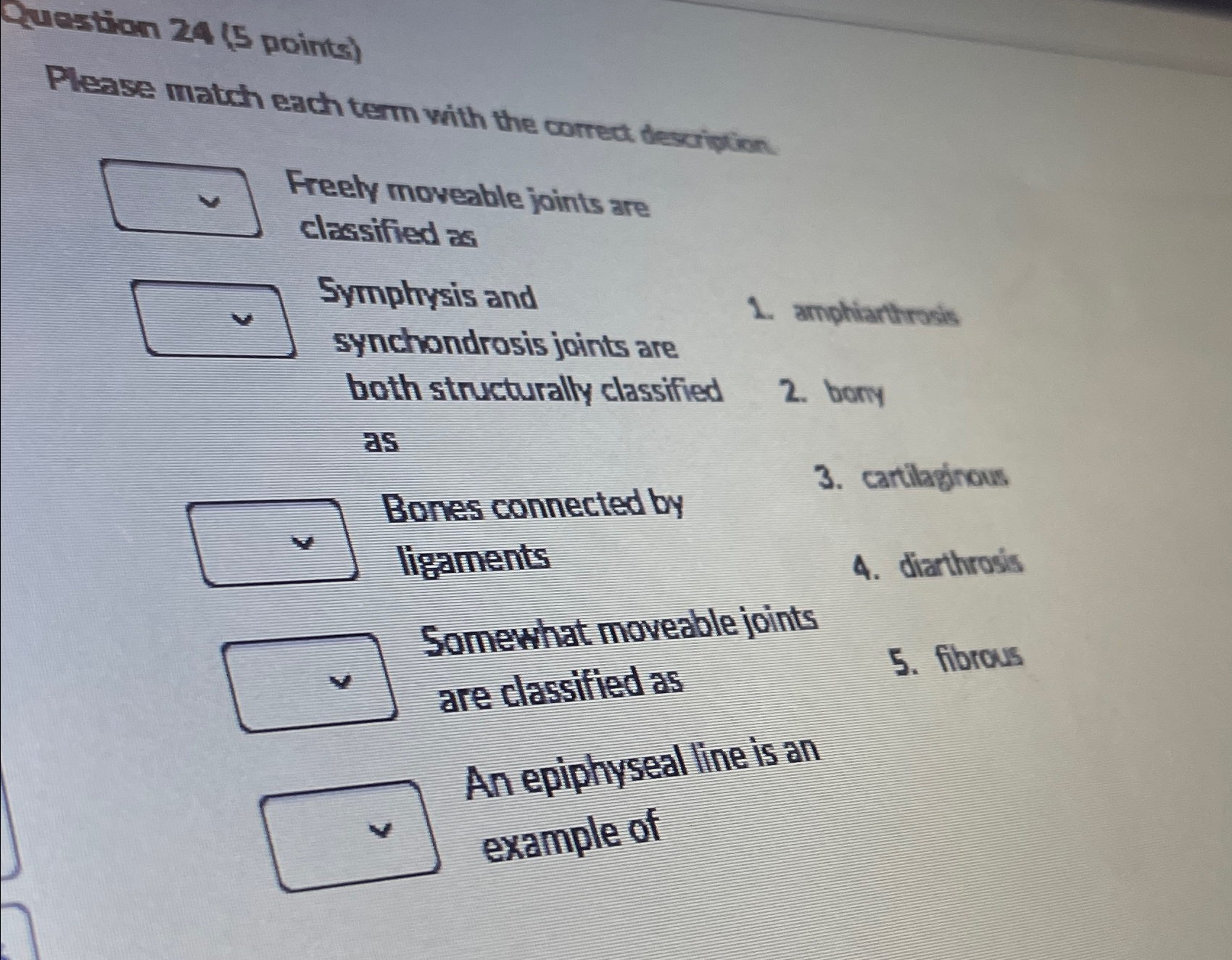 Solved Question 24 (5 ﻿points)Please match each term with | Chegg.com