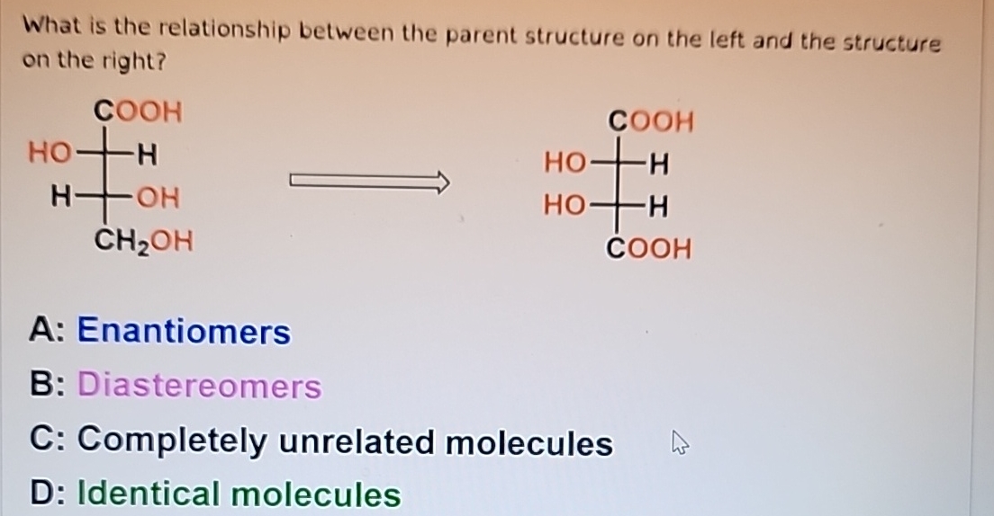 Solved What is the relationship between the parent structure | Chegg.com